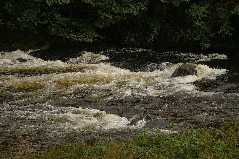 rapids – Crasstalk