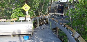 A Guide Through the Florida Keys to Key West – Crasstalk